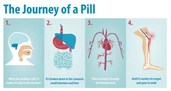 How Drugs Work in the Body - Glenn's Strategies for Well-Being How Drugs Work in the Body - Glenn's Strategies for Well-Being